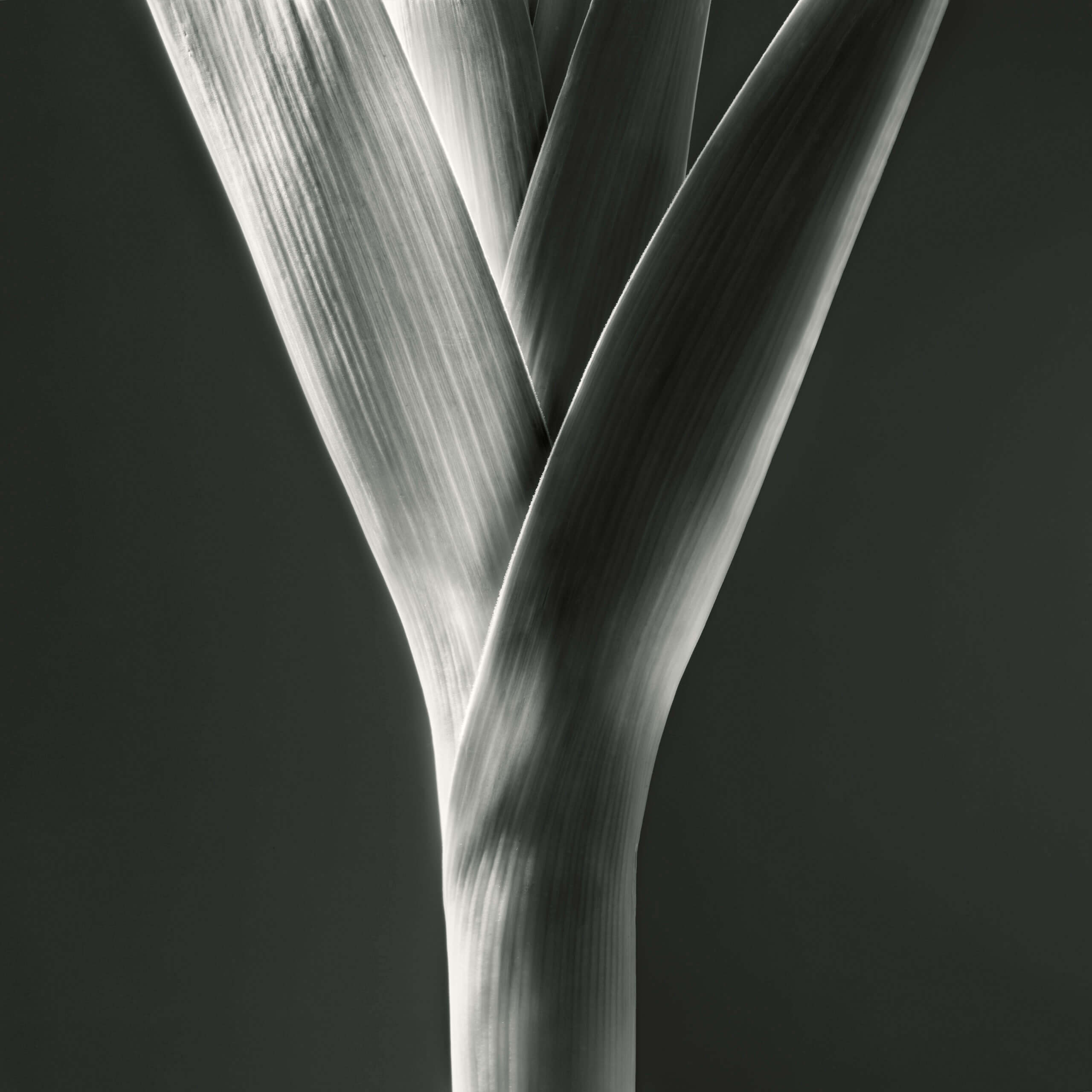 Jean-Baptiste Huynh | Emma Leonard – BA Hons Photography Student