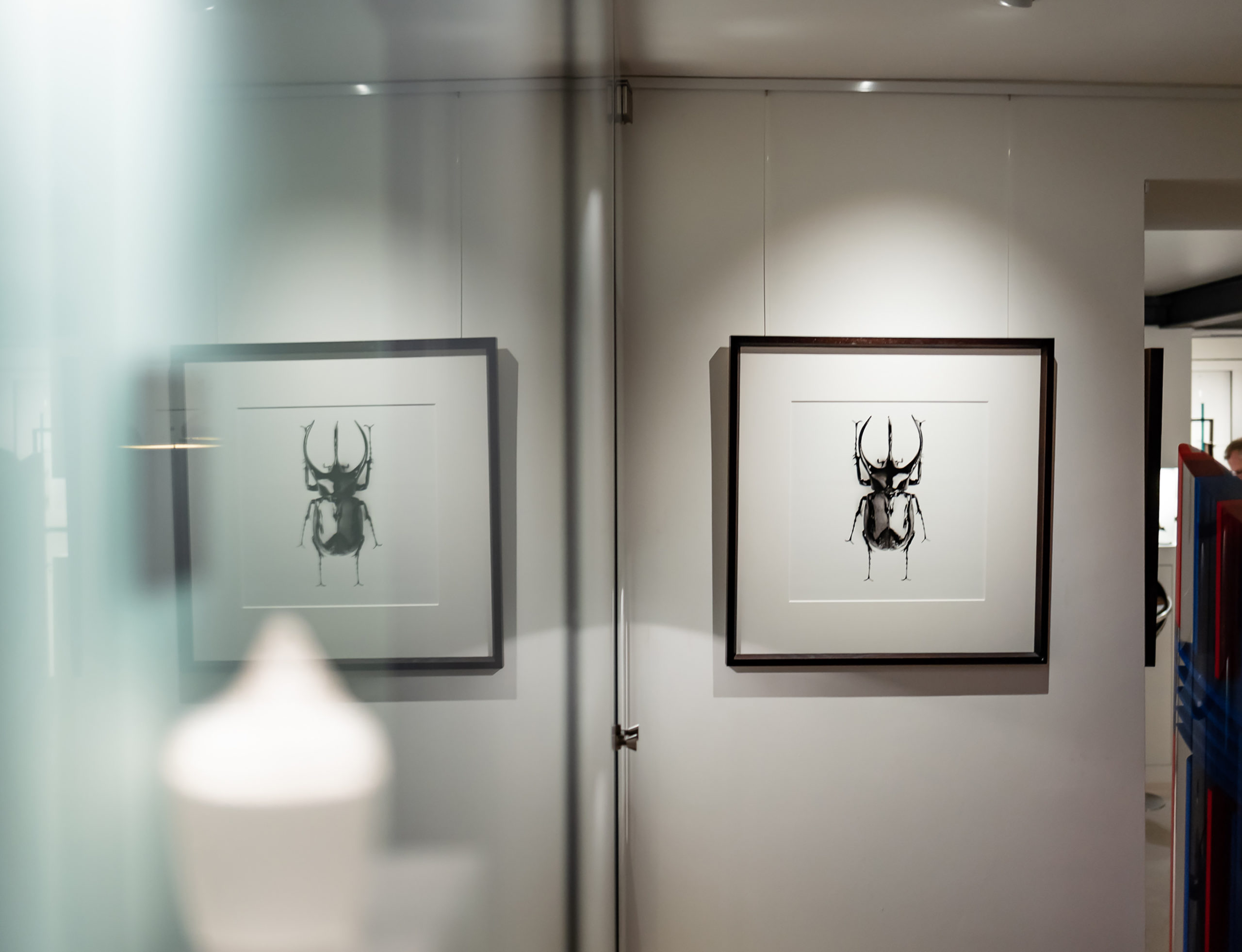 Photographies de Jean-Baptiste Huynh (2019) - Jean Baptiste Huynh